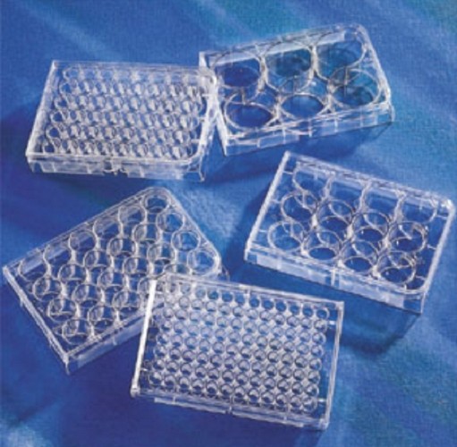 Tissue Culture Plates – Adelab Scientific