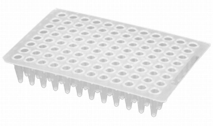 Axygen Gene Scanning Real-Time PCR Plates – Adelab Scientific