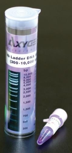 Axygen 1Kb DNA Ladder, range: 300-10,000 bp, (500µL), sufficient for 1 ...
