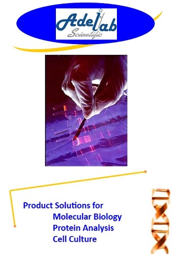 Product Solutions for Molecular Biology Protein Analysis Cell Culture – Adelab Scientific