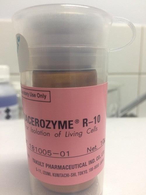 YAKULT MACEROZYME R-10 (10g) – Adelab Scientific